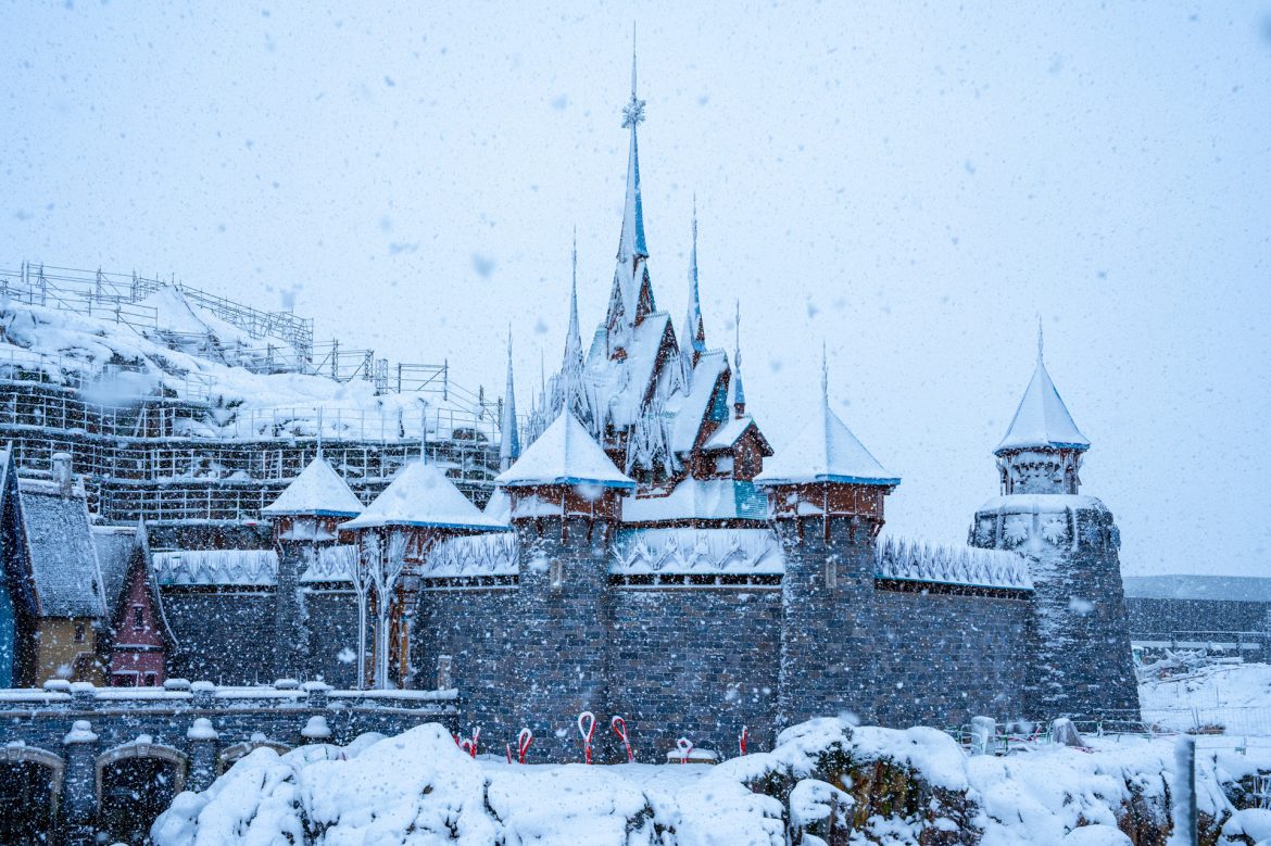 Snow in Frozen Land ! – DLP Welcome